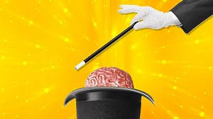 Brain Magic