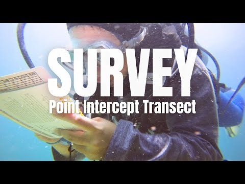 Survey-Point Intercept Transect (PIT)