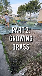 81K views · 198 reactions | Part 2: Growing Grass Cost Analysis & Comparison Of course to get to this point I had to have spent some money and for all of you I took a good look into it. Here are my results. I did not include tax and shipping costs as they can vary upon your location. What do you think about these results? #garden #gardening #grass #lawn #diy | Urrbangarden | Facebook