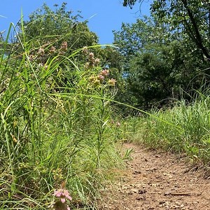 Let’s go find what’s out on the trail! - Oops, wait for it I forgot my camera! - Live Wild-Go Outside | Ucan Outdoors