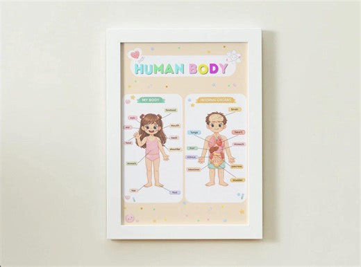 Biology Human Body Poster for Kids | Anatomy & Organs Chart | Educational Poster (digital Download) - Etsy