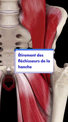 Étirement simple des fléchisseurs de la hanche. (Ilio-psoas)