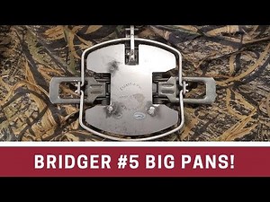 Big Pans for the Bridger #5 Coil Spring Trap!