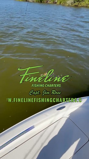 The bait’s in the water, the lines are tight, and the excitement is real! Come fish with Fineline Fishing Charters and reel in not just a catch, but a memory that will last a lifetime. 📞 Call 321-636-3728 💻 Book your trip: www.finelinefishingcharters.com | Fineline Fishing Charters