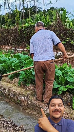 484K views · 23K reactions | ✨ La prosperidad te alcanza mañana… créelo!  #Bendiciones #DiosTieneUnPlan | Horta do Cesar | Facebook