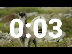 CONSUMER STUDIES GRADE 12 HOUSING ACQUISITION OPTIONS PART 2