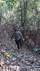 5.7K views · 122 reactions | survival skills, build a wooden dining table for shelter, survival alone #survival #hunting #fishing #food | I Am Chef | Facebook