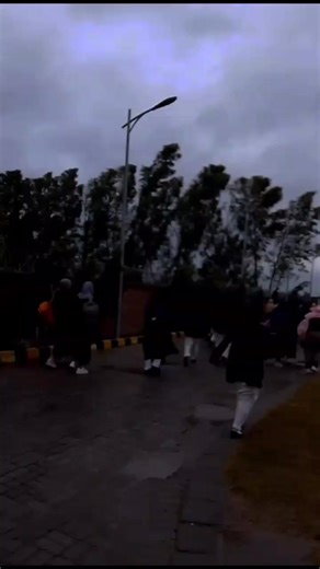 Exploring Student Life Through Collage Creations