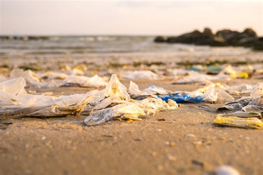 Researchers make surprising discovery about states that ban plastic shopping bags: 'May be even more effective'