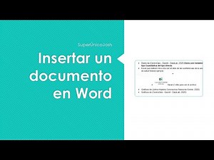 Insertar un documento en Word