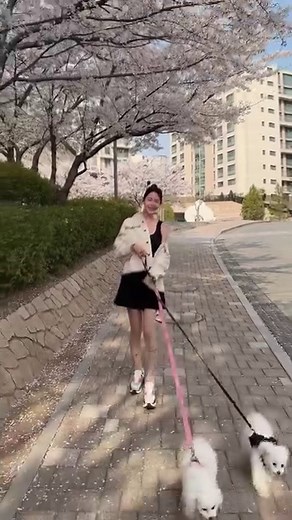 18K views · 519 reactions |  | CLARA | Facebook