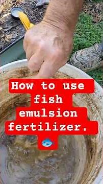 How To Use Fish Emulsion Fertilizer - Plants need food! #gardening #food #fish #gsrdeningtips
