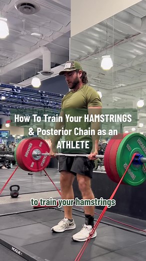 Best Hamstring Exercises for Athletes