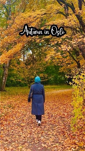 Autumn in Oslo: Harmony of colorband magic. #norway #nature #naturebeauty #autumn