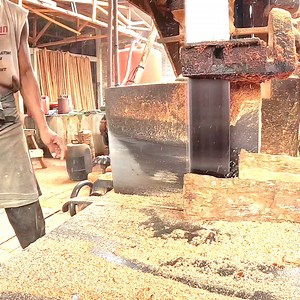 37K views · 155 reactions | close up sawing timber using small sawmill machine | Sawmill & Woodworking | Facebook