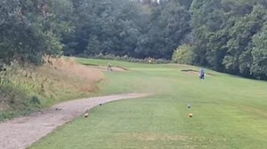 The par 3 11th at Oulton Hall on Tuesday. Thrills and spills .all sorts of shots on here. Players from Knaresborough .. Howley Hall and Middlesbrough Municipal contrasting outcomes. | golfpairs.com | Facebook