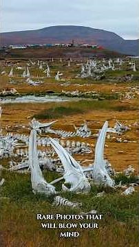 Incredible Rare Photos - Mind-Blowing Pictures