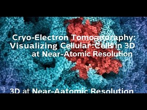 Cryo-Electron Tomography: Visualizing Cellular Structures in 3D at Near-Atomic Resolution