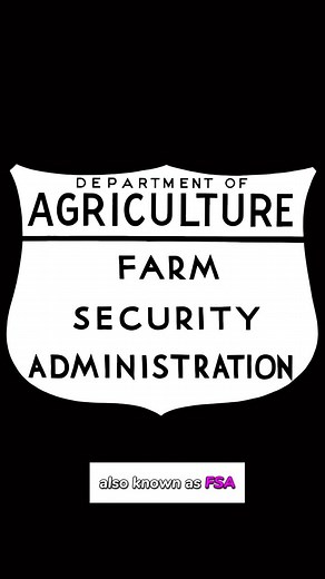 27 reactions | Farm Security Administration #history Marion Walcott  #historybeforeus #FSA #historymatters #pictures #photography #thegreatdepression #historylesson #historylovers #historyfacts | History Before Us | Facebook
