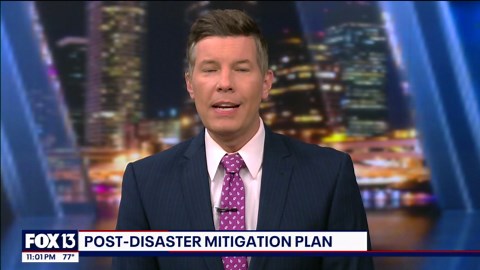 Post-disaster mitigation plan