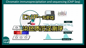 研究生必备 | ChIP-seq | 实验原理及步骤