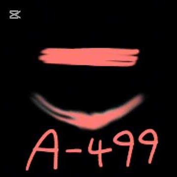 A-499 (ERROR CODE : 499)