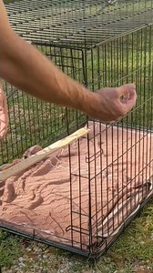 Homemade cat trap. #cattrap #howto #diy