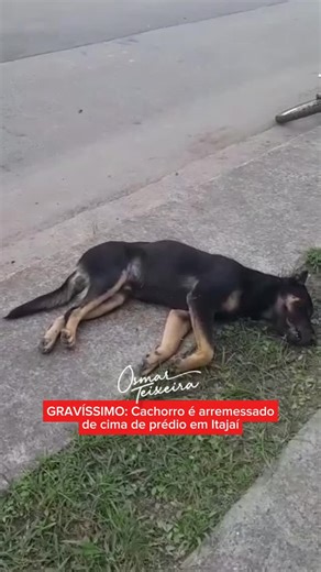 Osmar Teixeira on Instagram: "🚨CASO GRAVÍSSIMO EM ITAJAÍ: Compartilhe e siga @osmarteixeiraitajai para mais informações."