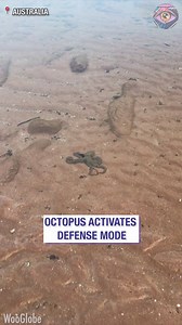 862K views · 4.2K reactions | That ink shot in the end is just 朗 | 5-Minute Crafts USA | Facebook