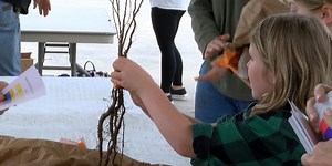 Forrest County Soil and Water Conservation District gives free tree seedlings