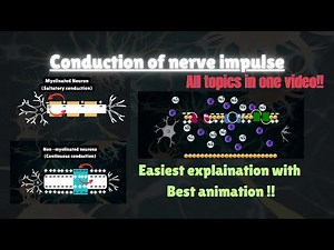 Conduction Of Nerve impulse Animation | Neural Control & Coordination For NEET 🧠