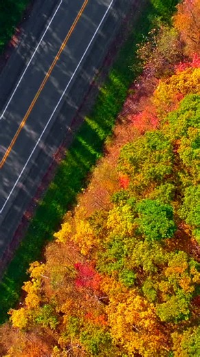 Bucks County Fall Foliage 2025: See when and where to see the best colors