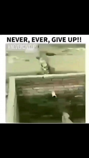 Ncert study course on Instagram: "#nevergiveup💪"