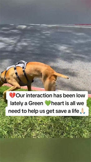 41K views · 1.6K reactions | Our interaction has been a little low...