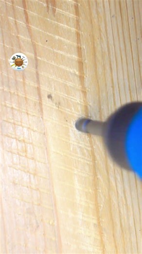 Common Woodworking Mistake: Protruding Screws vs Perfect Flush Finish | DIY Tip #shorts