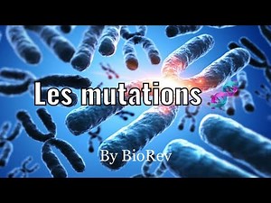 Génétique 🧬 : Les mutations