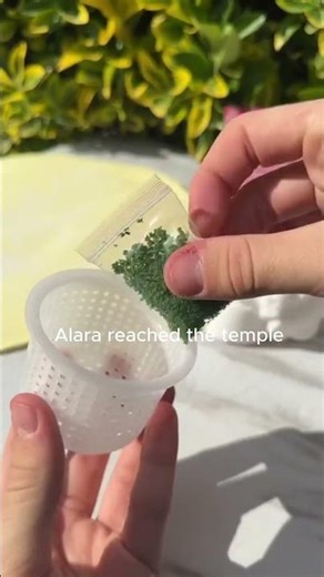 - ASMR Feast of Legends