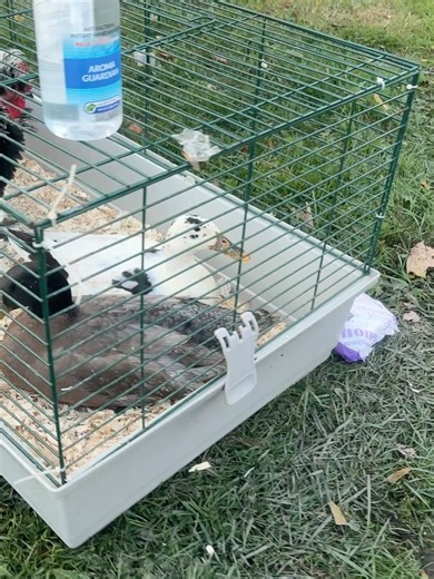 Adults in Motion Canada on Reels