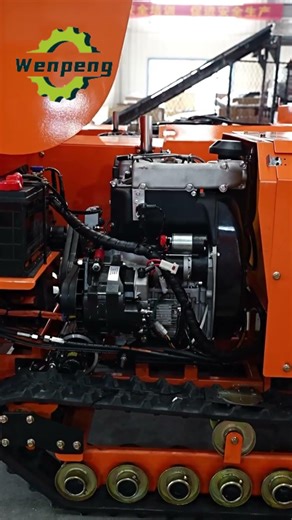 Crawler Remote Control Lawn Mower Factory #agriculturalmachinery #lawnmower #mowing