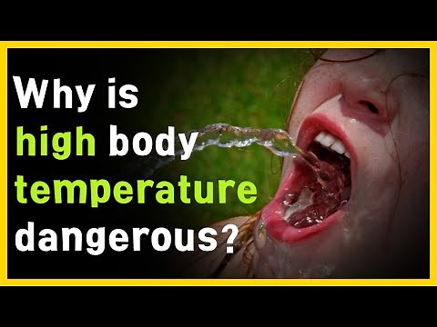 Understanding Hyperthermia: The Effects of High Body Temperature on the Human Body