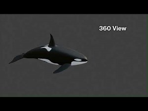 Procedural 3D Modelling a Orca/Killer Whale in Blender
