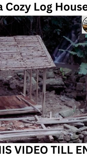 How I Built a Free-Power Cabin in the Jungle (DIY 220V System)#asmr #diy #housebuild #house #reels #viral #trending | Raw to Ready Constructions