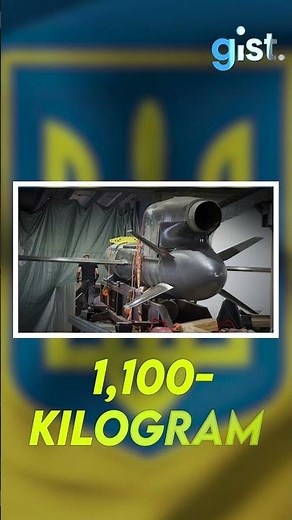 Ukraine Unveils Flamingo Cruise Missile, Escalating Pressure on Moscow