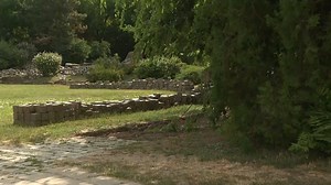 Javában zajlanak a munkálatok a Zöld város program keretében Szekszárdon.👇 A héten a bontást kezdték meg a szakemberek. A kivitelező és az önkormányzat arra kéri a lakosságot, hogy továbbra is legyenek türelemmel.🙏 Ne menjenek a kordonokon belülre, mert az balesetveszélyes és az ott dolgozókat is akadályozza.☝️ #szekszárd #zöldváros #türelem #felújítás | Tolnatáj Televízió - Tolnatáj Tv