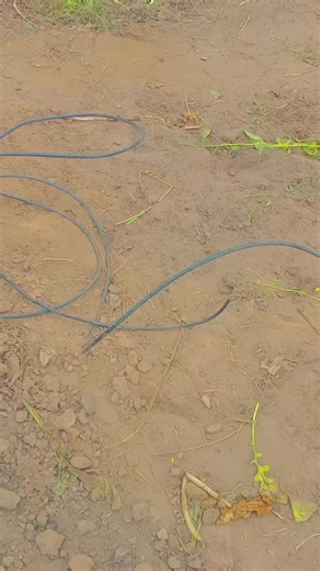 Understanding WiFi and Fiber Optics for Better Connectivity