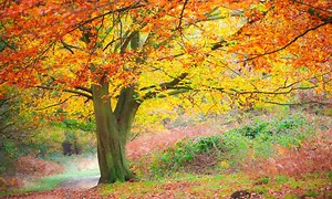 Best Songs For The Fall: 20 Autumn Classics