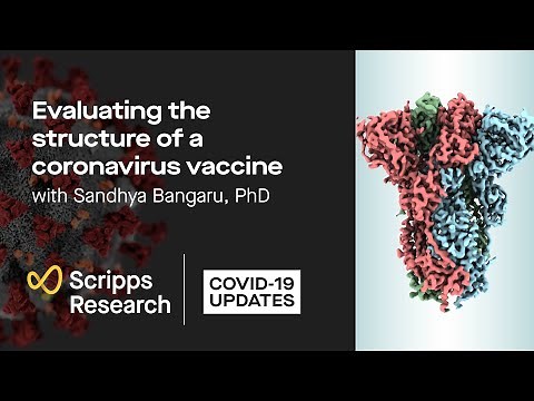 Evaluating the structure of a coronavirus vaccine
