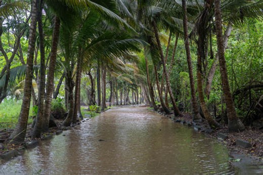 Major magnitude 6.8 earthquake hits Caribbean today: live updates