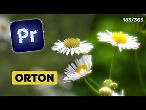 COMMENT CRÉER L'EFFET ORTON EN 1 MINUTE | Tuto Premiere Pro