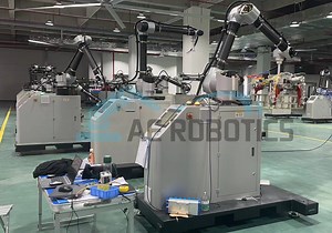 [Hot Item] Material-Handling Equipment 6 Axis Industrial Robot Ae-Ae40L 40kg 1980mm